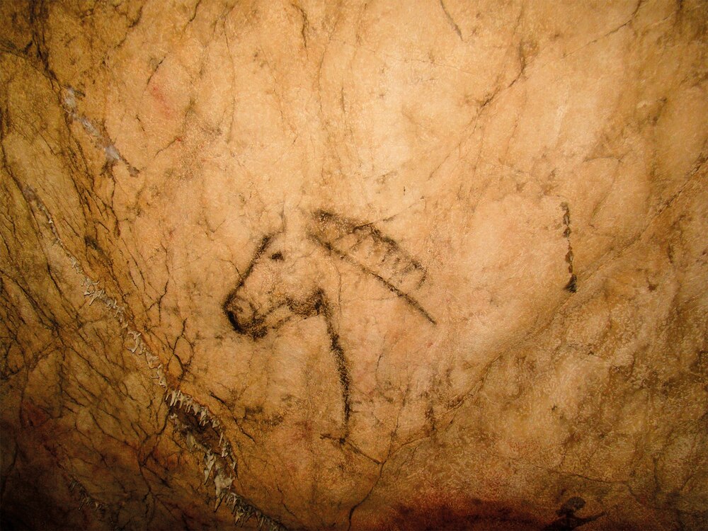 ギャラリー：欧州の人類最古級の洞窟壁画、世界遺産ティト・ブスティーリョ洞窟 写真5点 ナショナルジオグラフィック日本版サイト