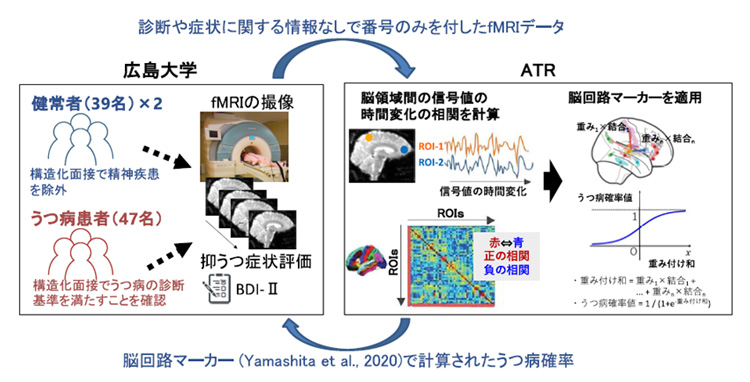 AIが脳画像を解析してうつ病診断、客観的検査に道 | ナショナル ジオグラフィック日本版サイト